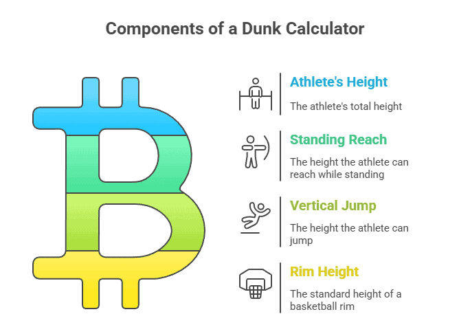 Dunk Calculator – Calculate Your Vertical Jump & Hang Time