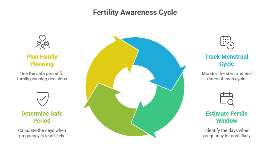 Safe Period Calculator: Track Fertile Days
